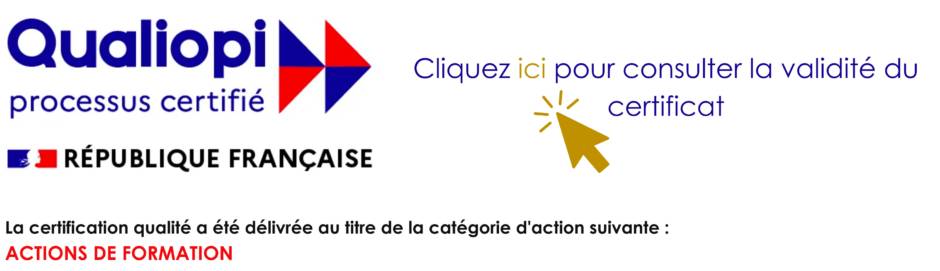 DISC Couleur : comprendre les profils comportementaux